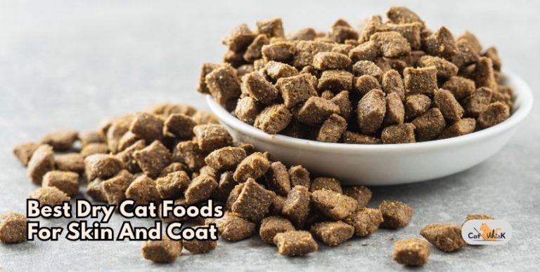 8 Best Dry Cat Foods For Skin And Coat – Top Picks Of 2026 - Cat Whisk