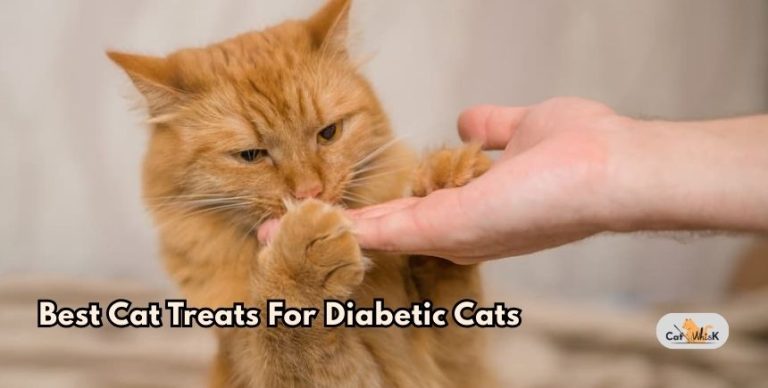 The 8 Best Cat Treats For Diabetic Cats Of 2026, Tested by Experts ...