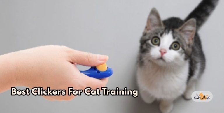 The 8 Best Clickers For Cat Training To Buy In 2026 - Cat Whisk