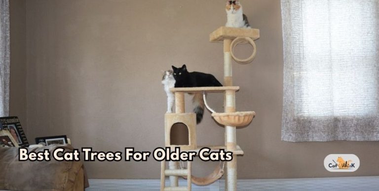 The 10 Best Cat Trees For Older Cats 2026, According to Experts - Cat Whisk