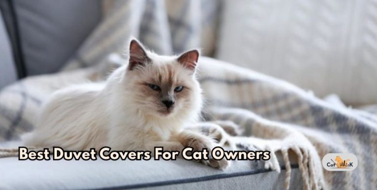 The 10 Best Duvet Covers For Cat Owners 2026: Top Picks - Cat Whisk