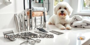 10 Best Grooming Kits For Cats (2026), Tested and Reviewed - Cat Whisk